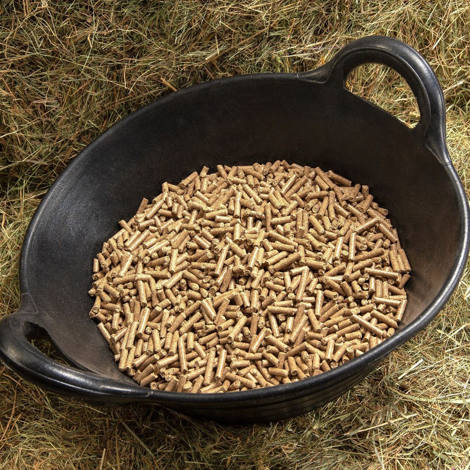 Spillers Horse & Pony Cubes (20kg) - Wychanger Barton