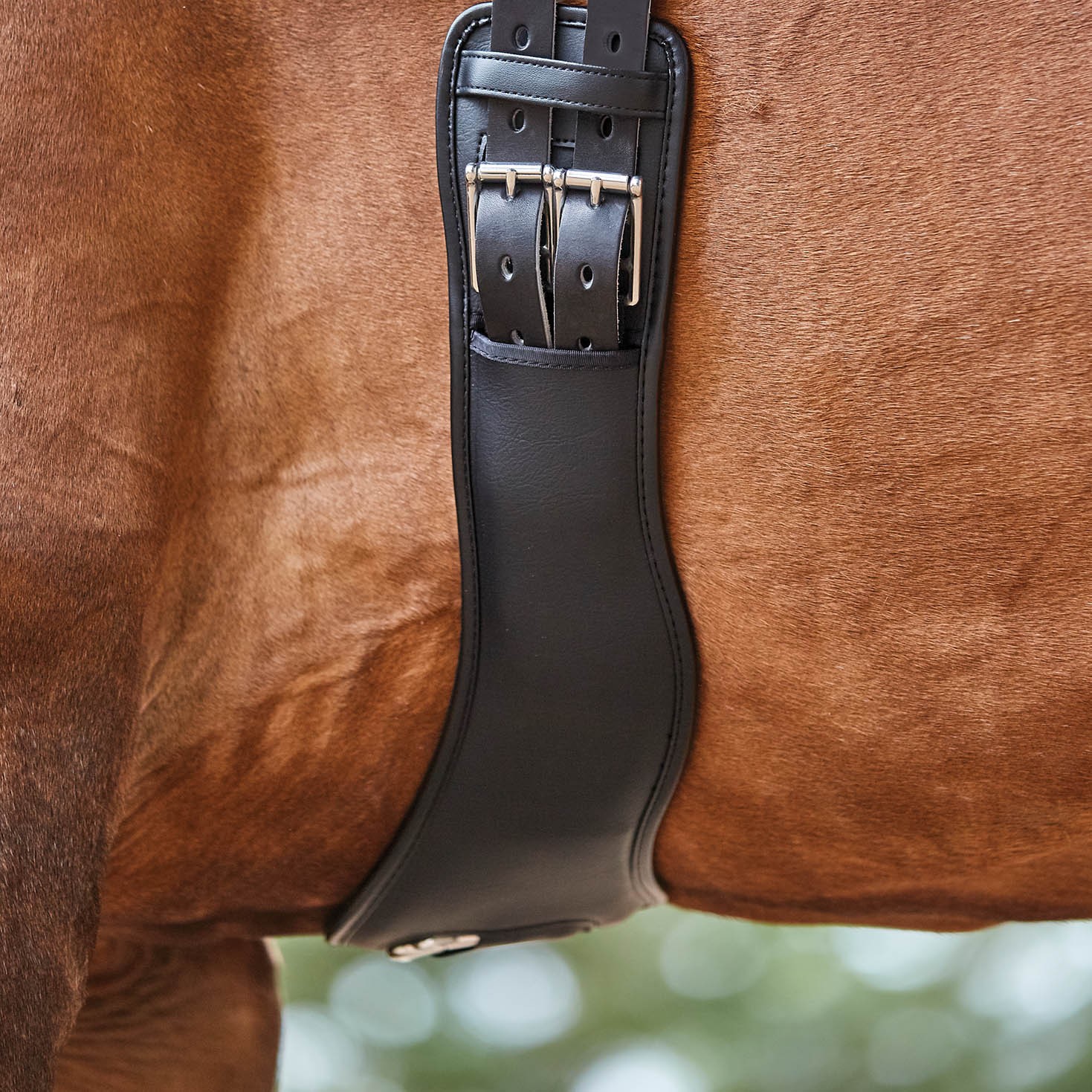 Collegiate Anatomic Girth (Black) - Wychanger Barton