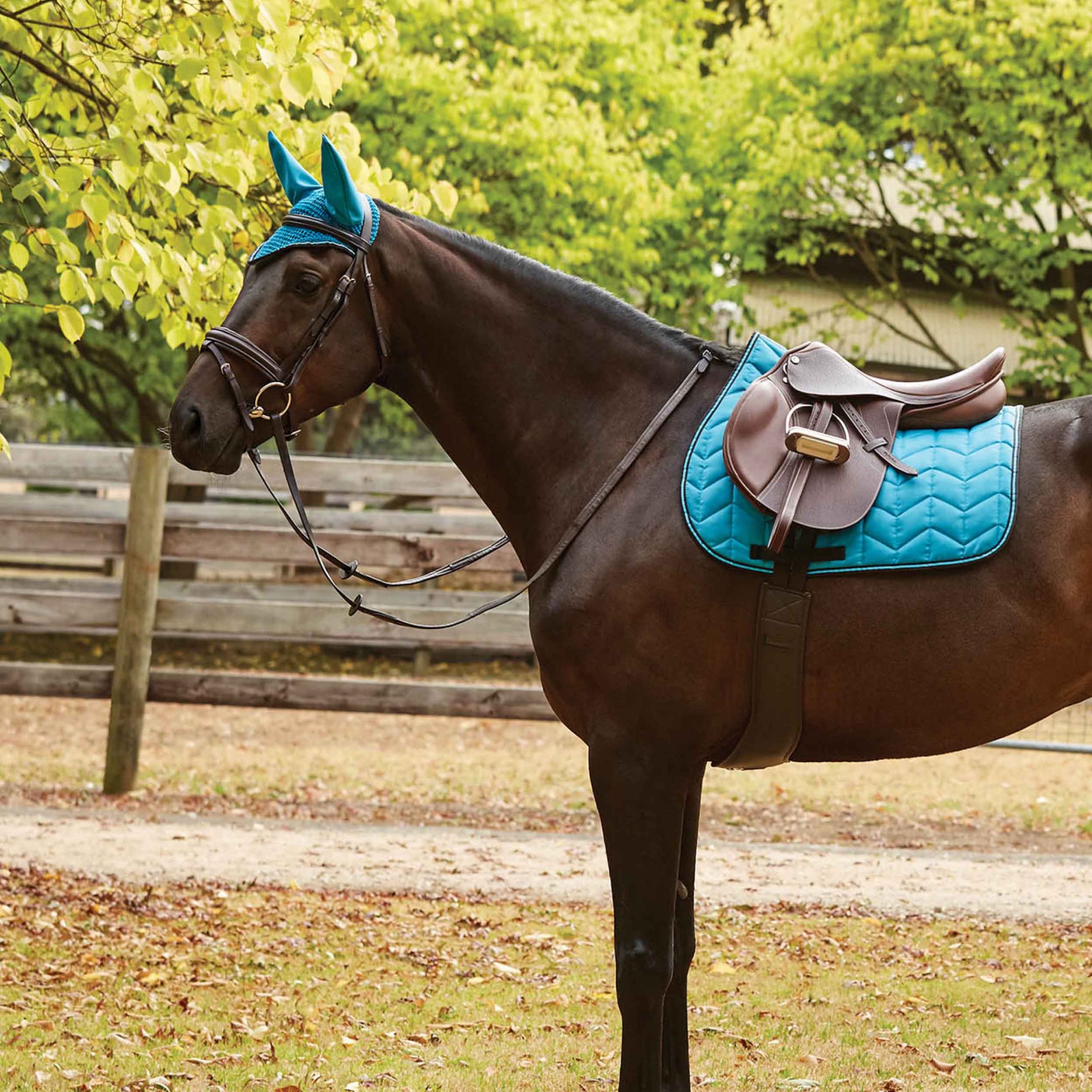 Collegiate Anatomic Girth (Brown) - Wychanger Barton