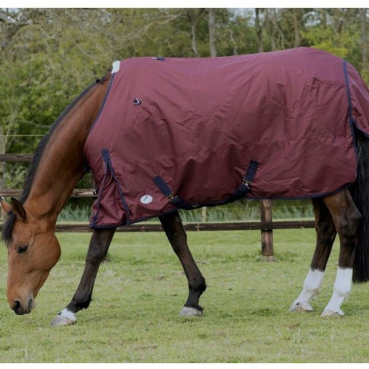 JHL Essential Mediumweight Combo Turnout Rug (Navy/Burgundy ...