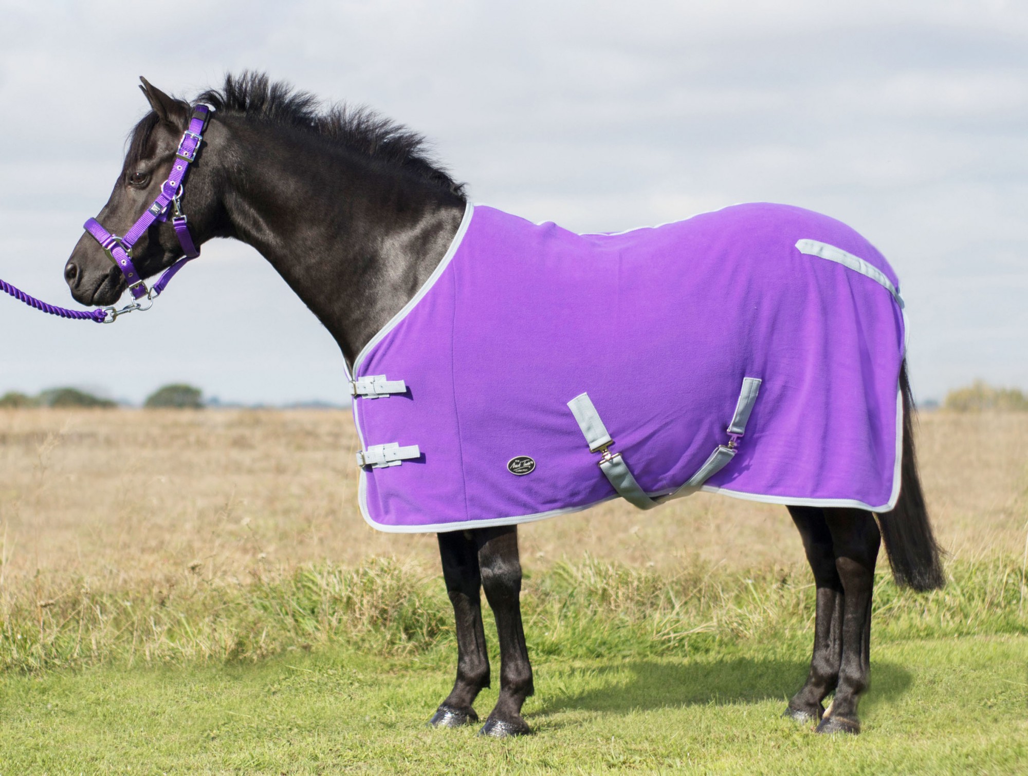 Mark Todd Pony Fleece Rug (Purple/Grey) - Wychanger Barton