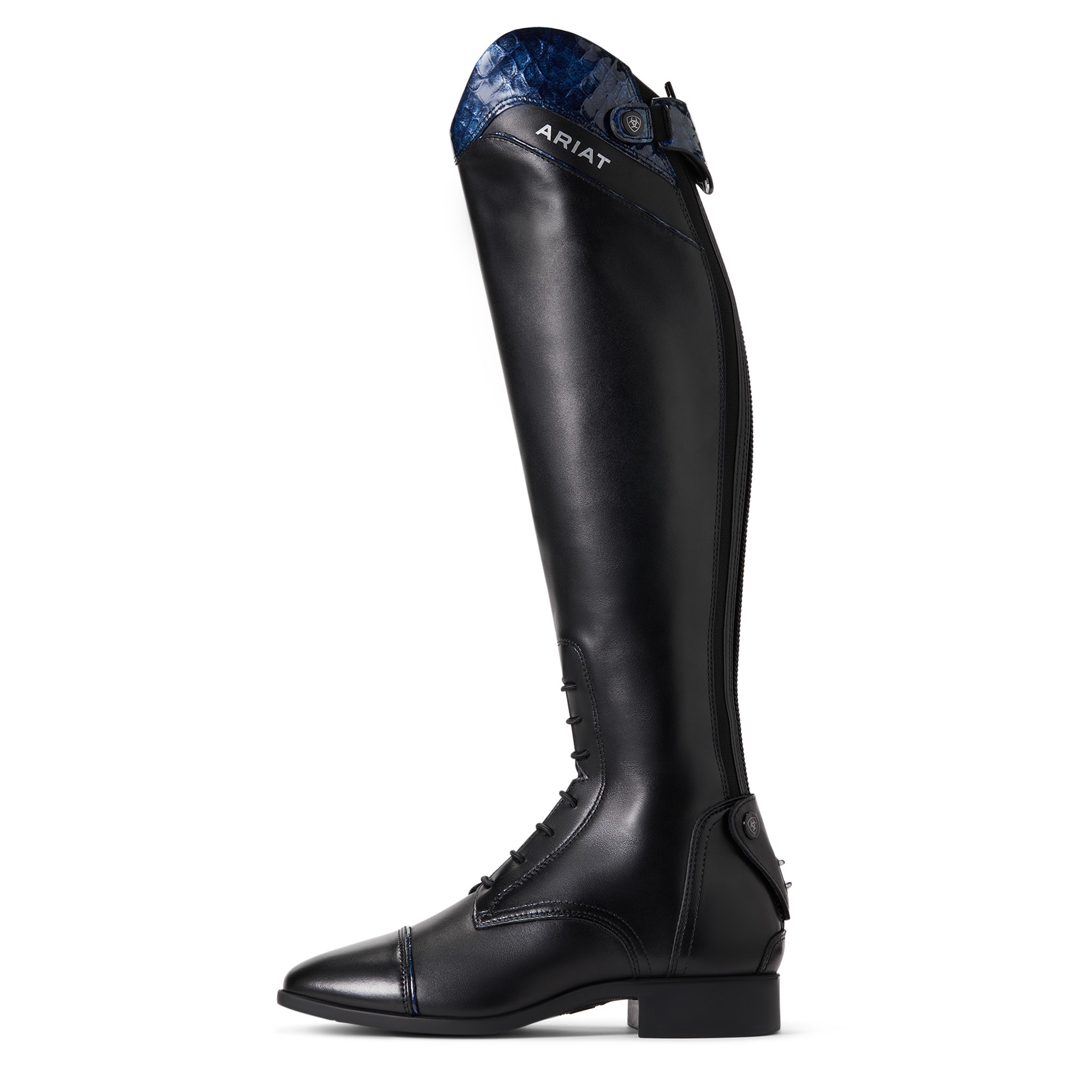 Ariat Women's Palisade Ellipse Tall Riding Boot (Black/Blue Cobra ...