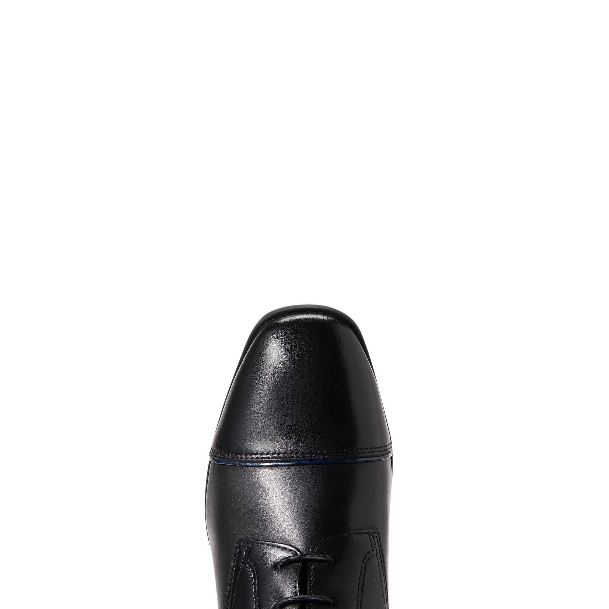 Ariat Women's Palisade Ellipse Tall Riding Boot (Black/Blue Cobra ...