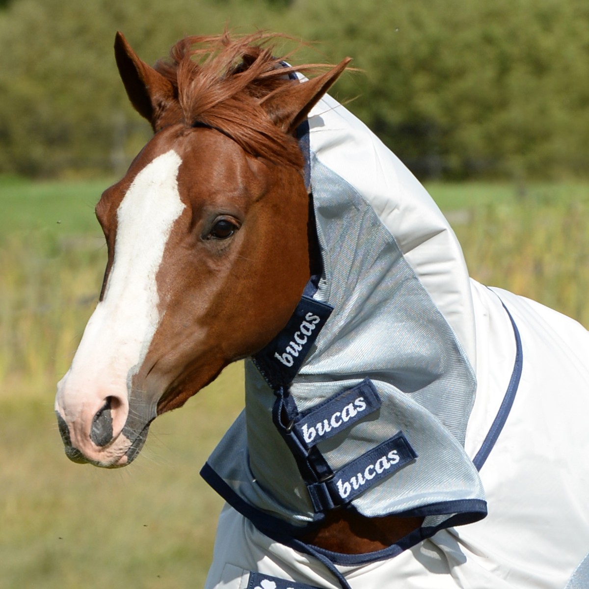 Bucas Buzz-Off Rain Fly Rug - Wychanger Barton