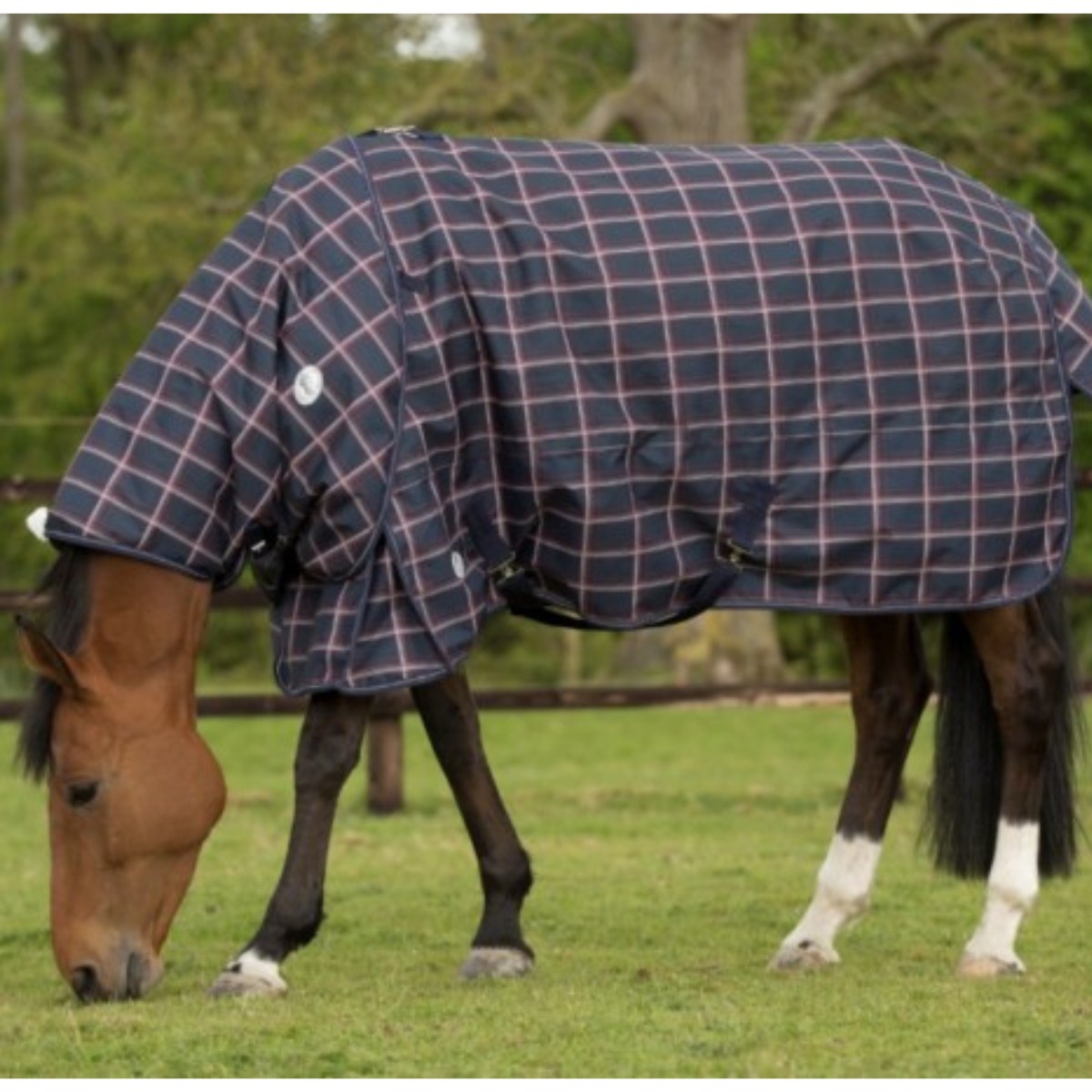 JHL Lightweight Plus Turnout with Neck Navy/Burgundy/White - Wychanger ...