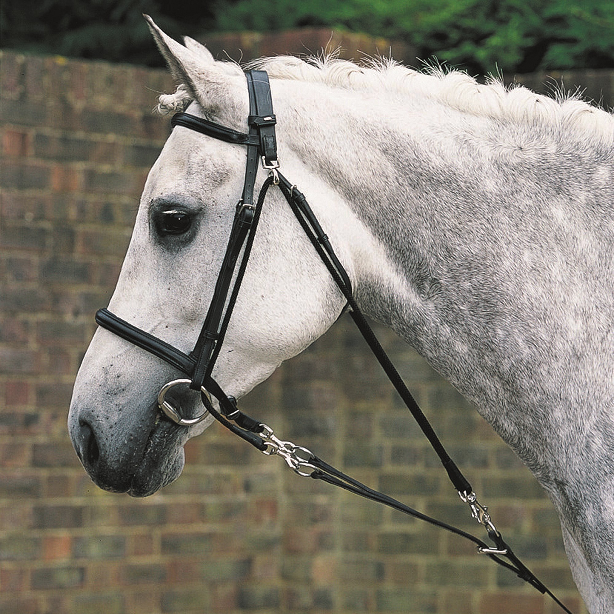 JHL De Gogue Black - Wychanger Barton