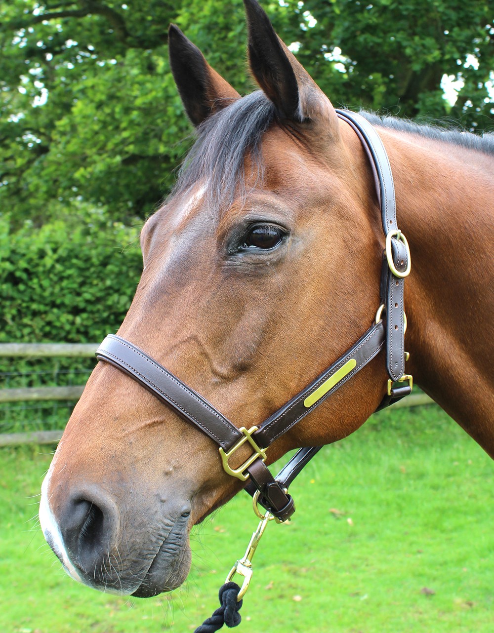 JHL Leather Headcollar Brown - Wychanger Barton