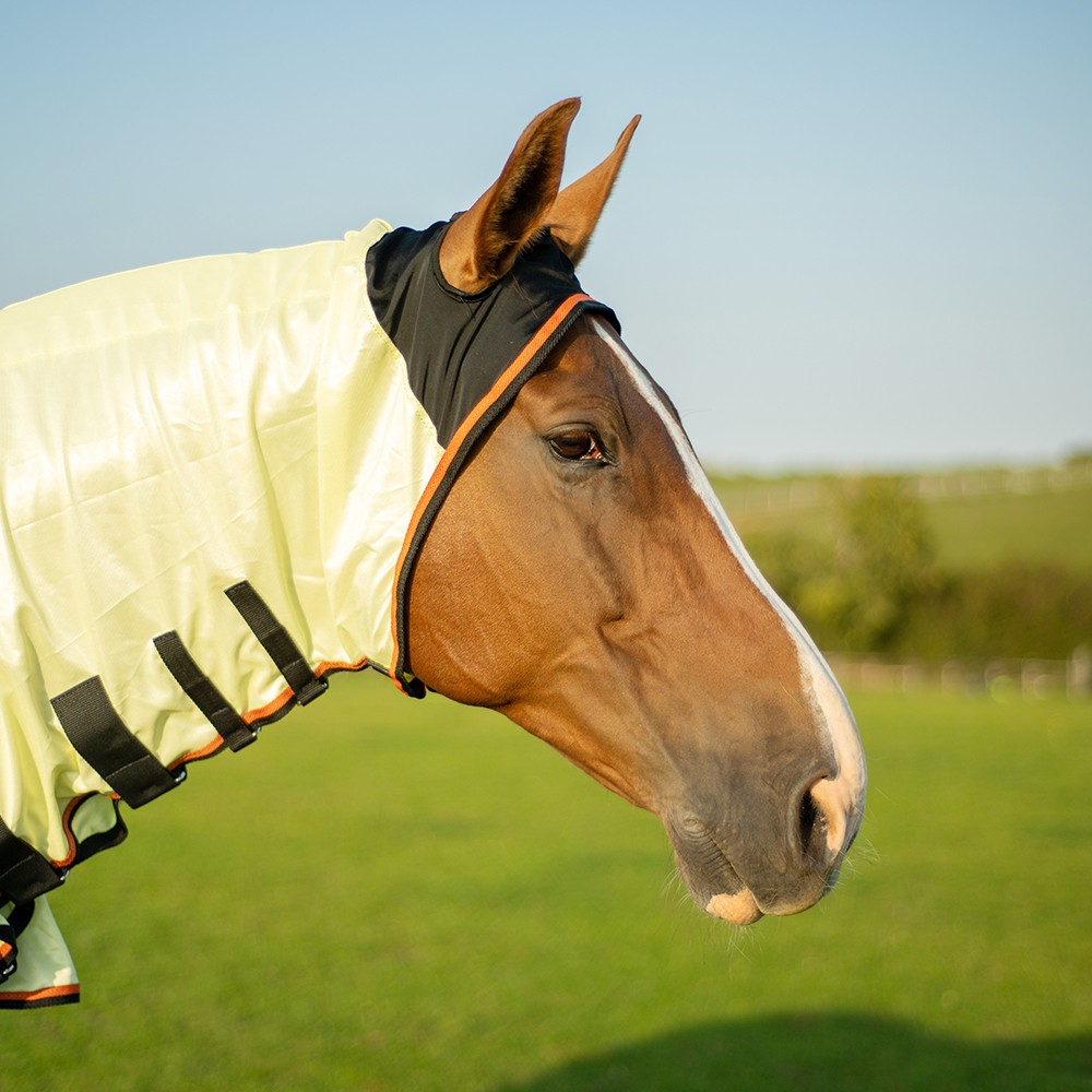 Equilibrium Field Relief Fly Rug (Yellow, Black & Orange) - Wychanger ...